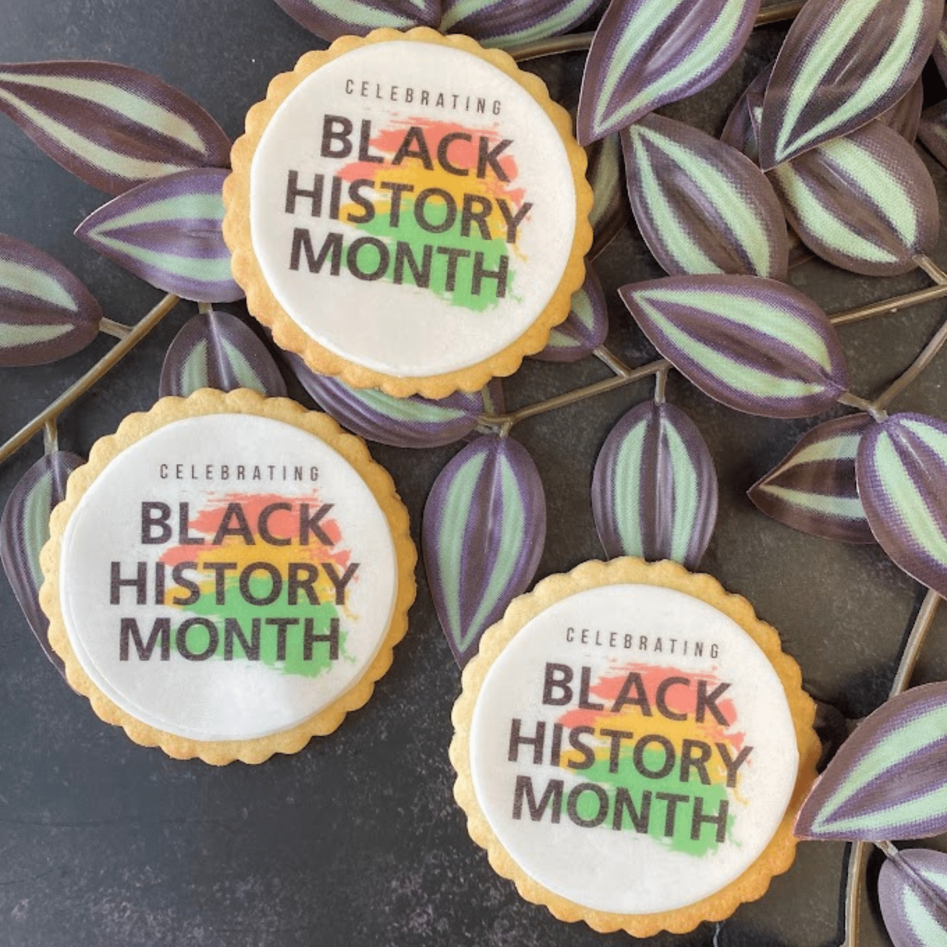 History Is Here, and It’s Ours to Know | The Biskery